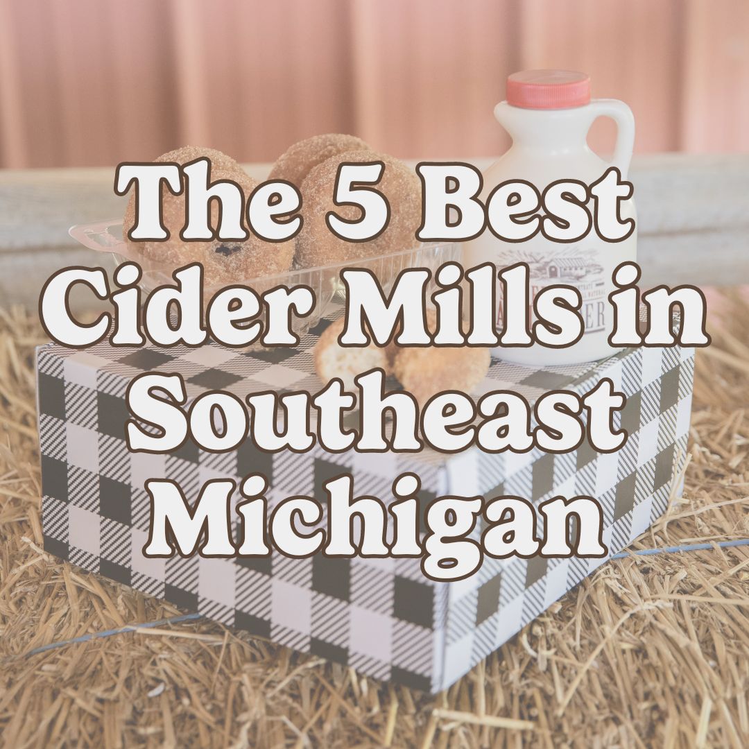 The 5 Best Cider Mills in Southeast Michigan - Bundled